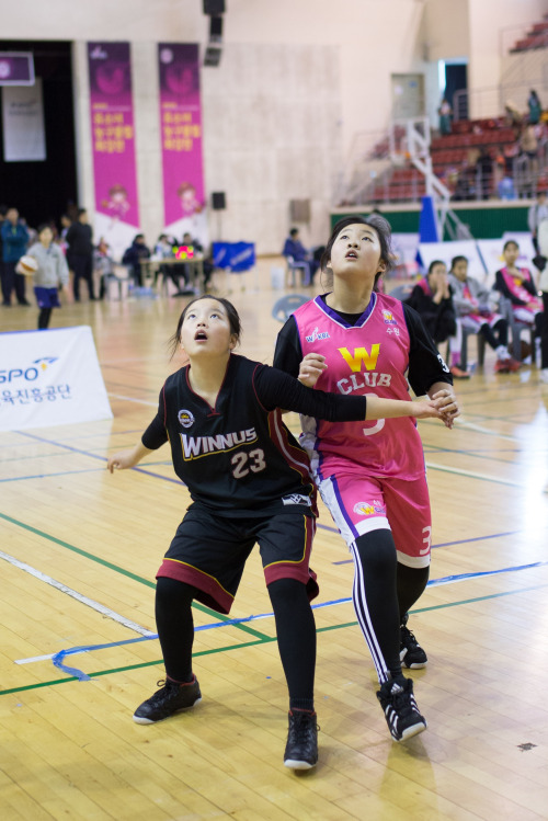 2016 WKBL 유소녀 농구클럽 최강전 2차 대회 성황리 폐막 | 스포츠 월드