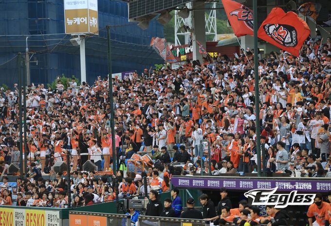 ‘열렸다 하면 들어찬다’ 한화, 홈 12G 연속 만원관중… KBO 최다 연속 매진 타이 | 스포츠 월드